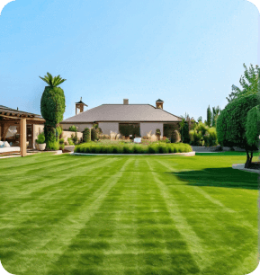 AI Landscape Design - Transform Your Yard Instantly | HomeDesigns.AI